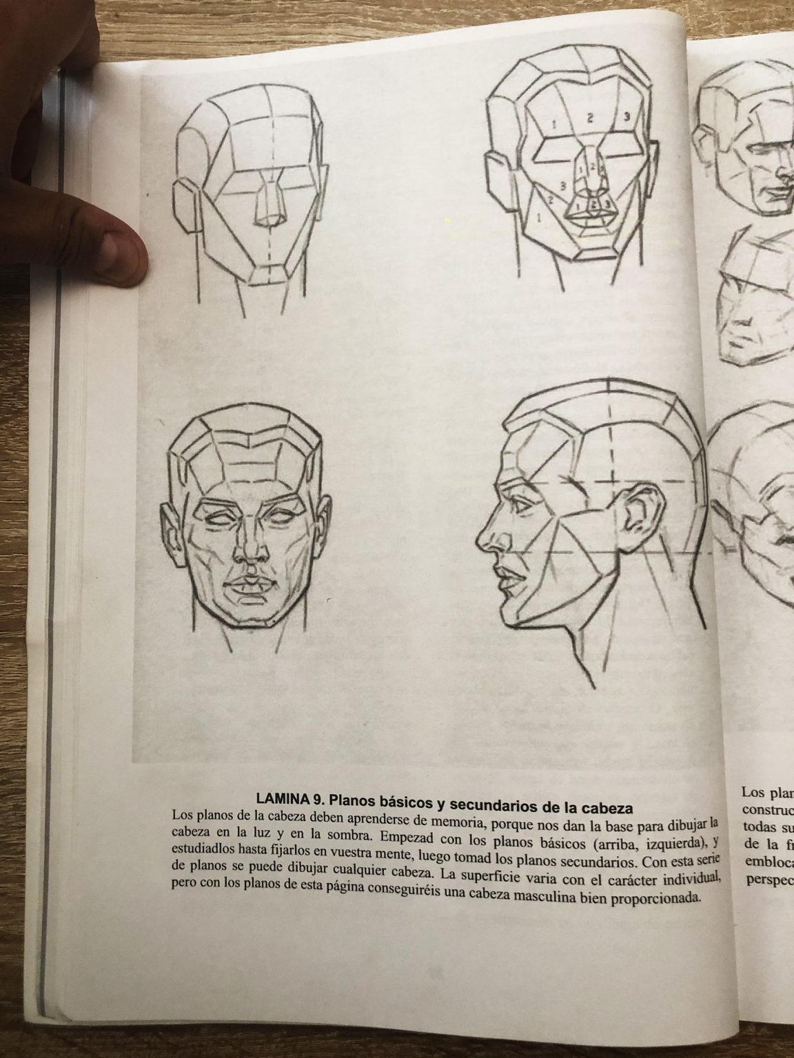 11 Consejos de Andrew Loomis - Introducción al método Loomis